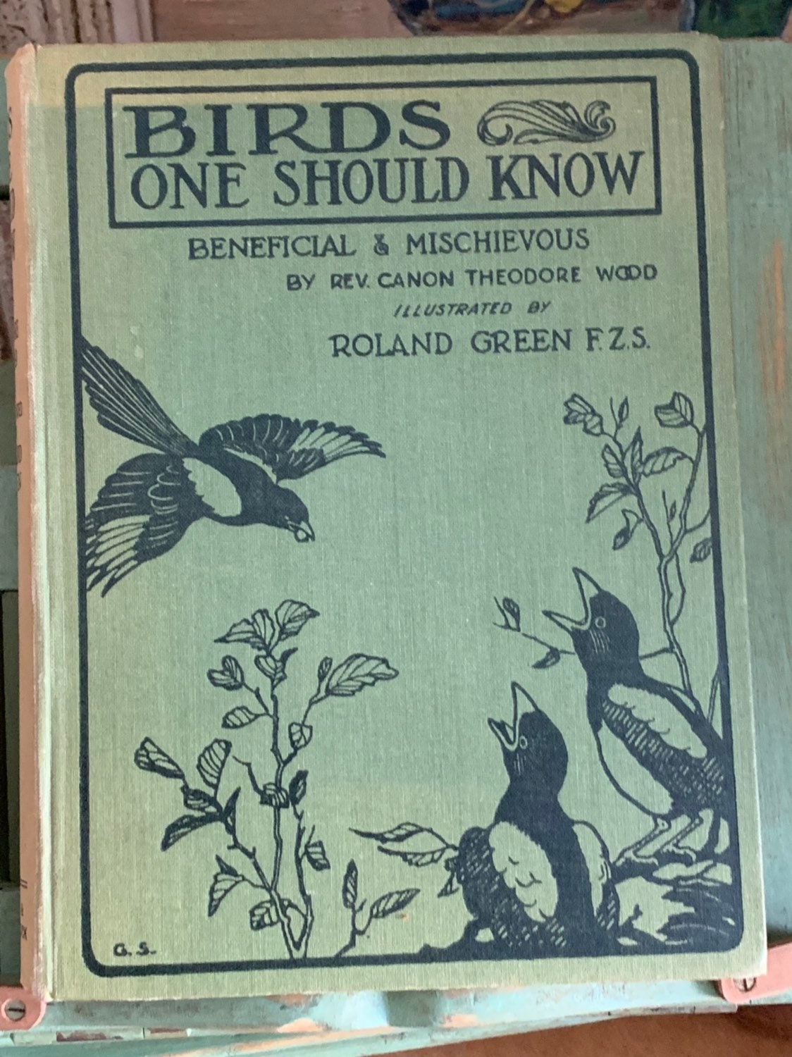 Two Vintage 1920's Books With Coloured Illustration Plates Of Birds