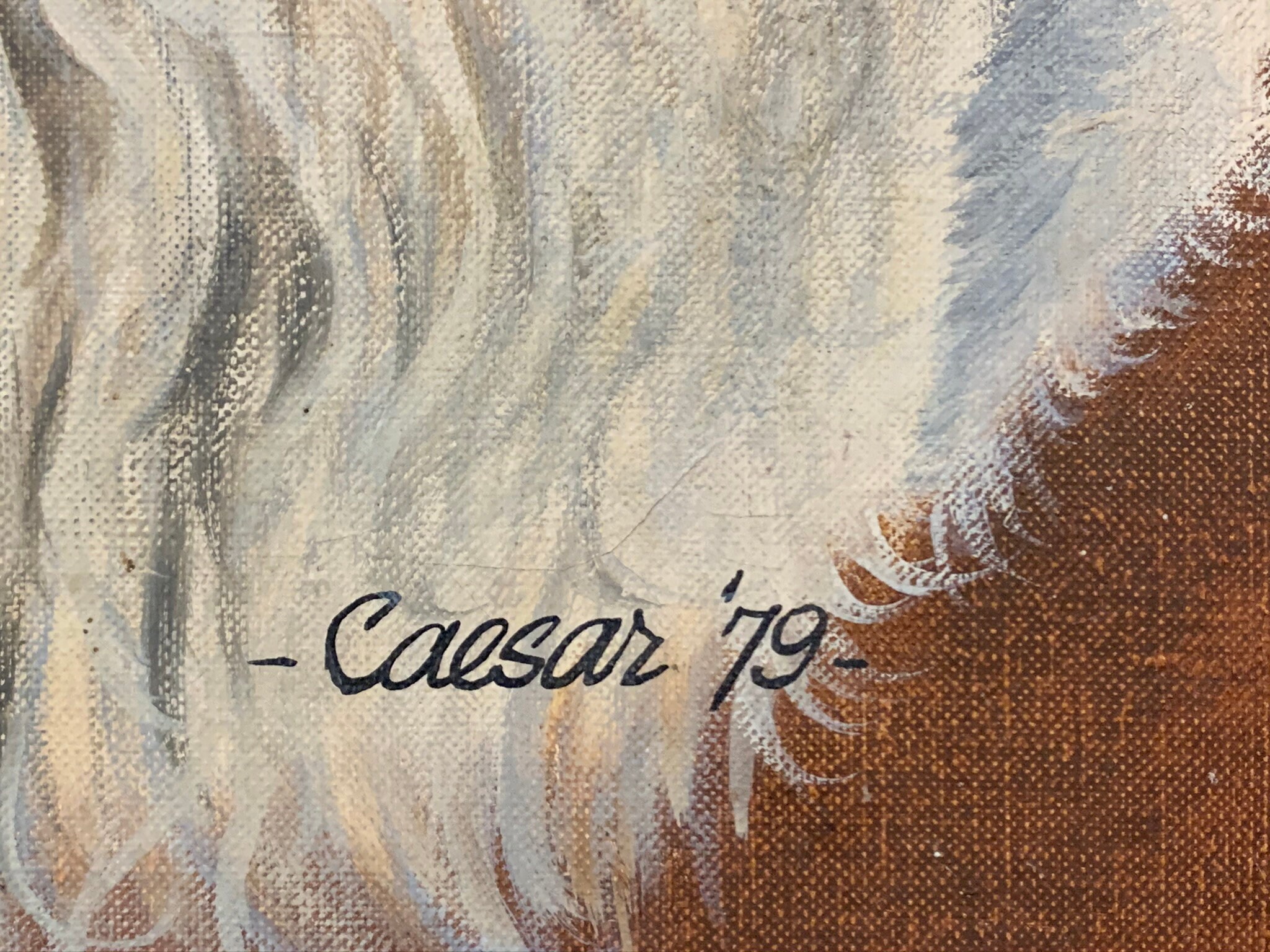 Wonderful Original Beautiful Oil Painting Of A Border Collie By John ...