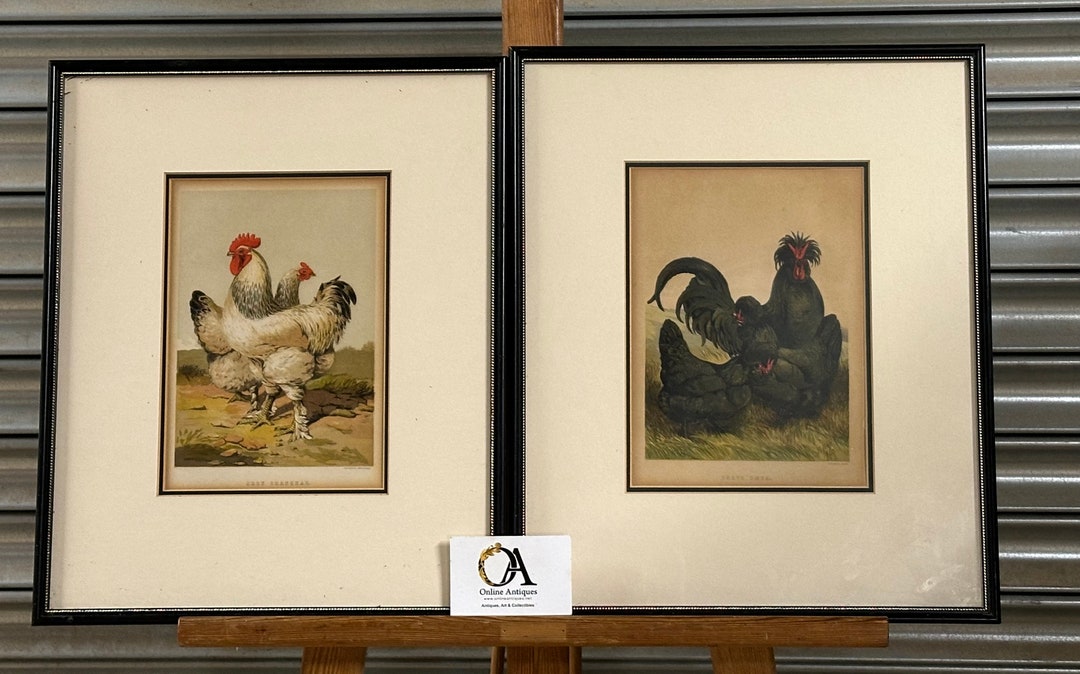 Pair of Antique Chromolithographic Poultry Theme Prints by Leighton ...