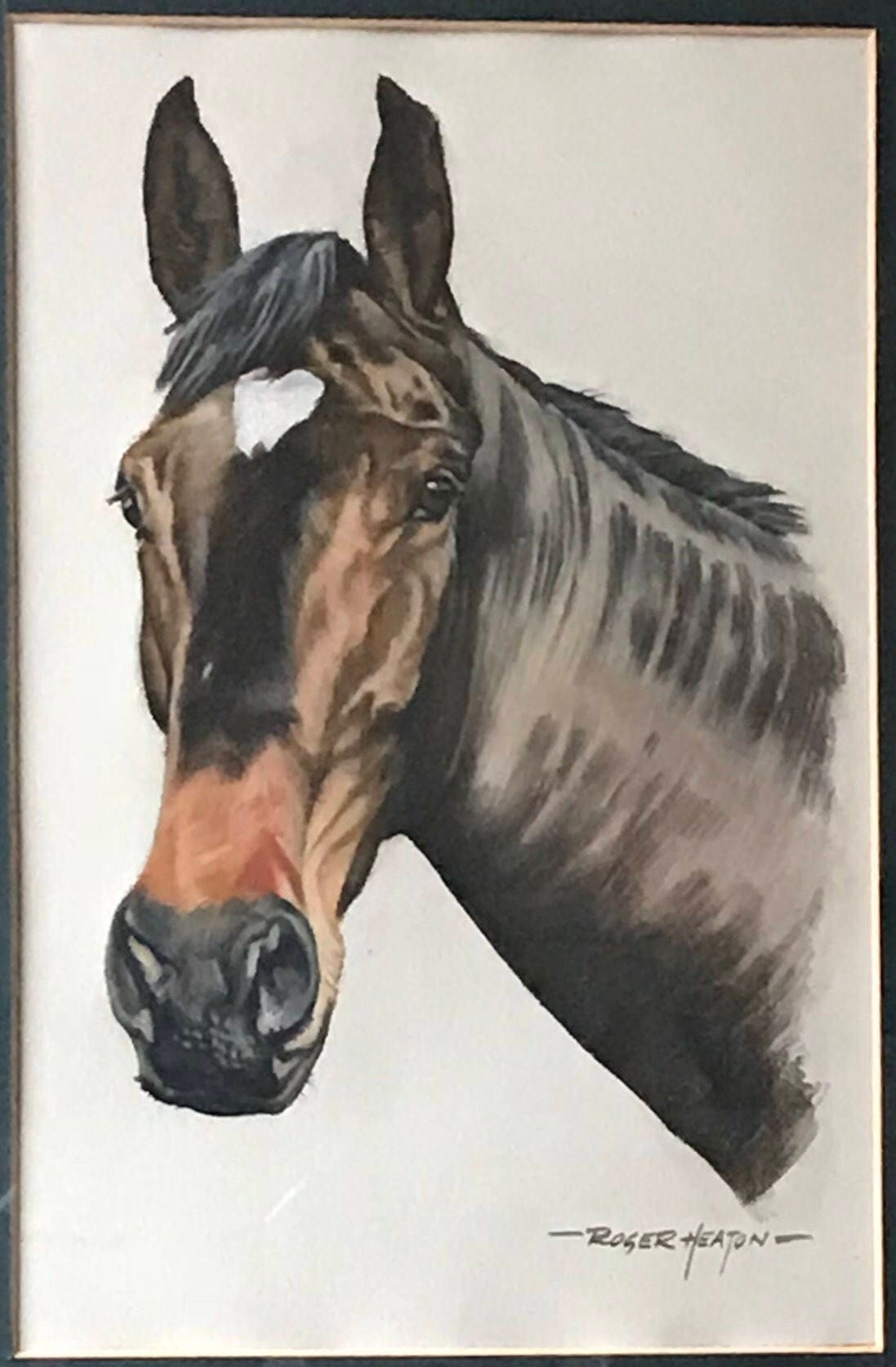 Original Roger Heaton Watercolour Of A Horse Titled 'Larnson' And Dated ...