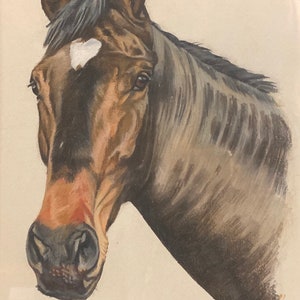 Original Roger Heaton Watercolour of A Horse Titled 'larnson' and Dated ...