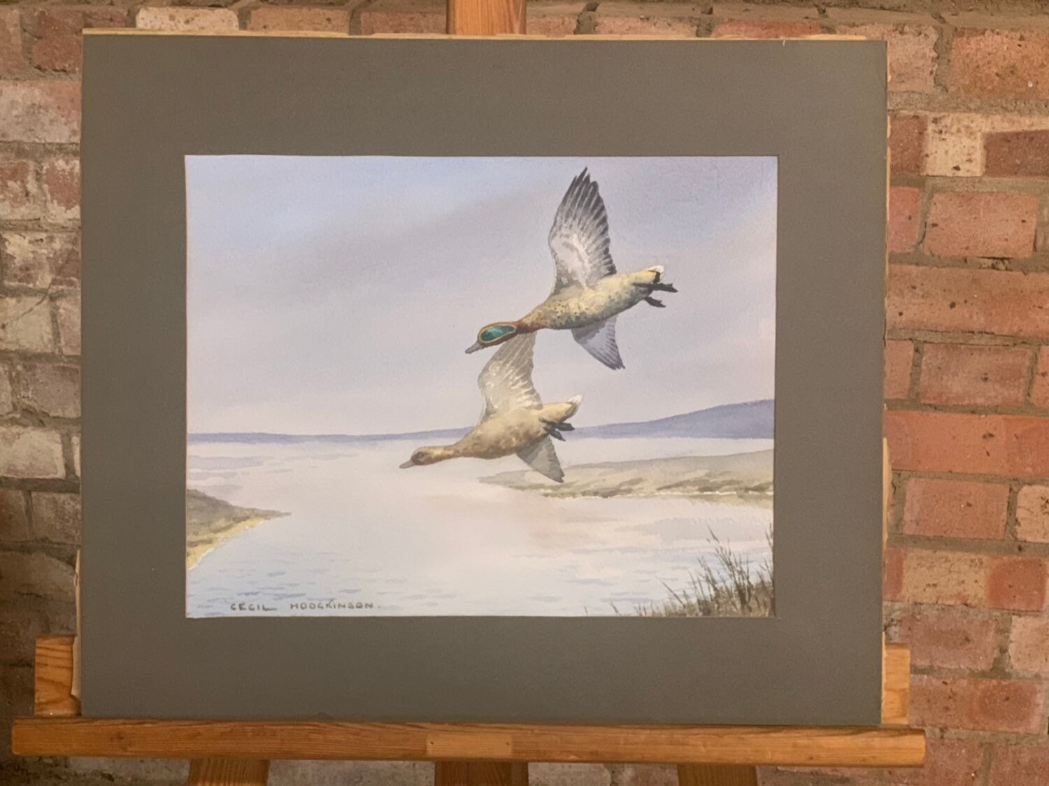 Original Cecil Thomas Hodgkinson Watercolour Of Teal Ducks in flight