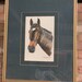 Original Roger Heaton Watercolour of A Horse Titled 'larnson' and Dated ...