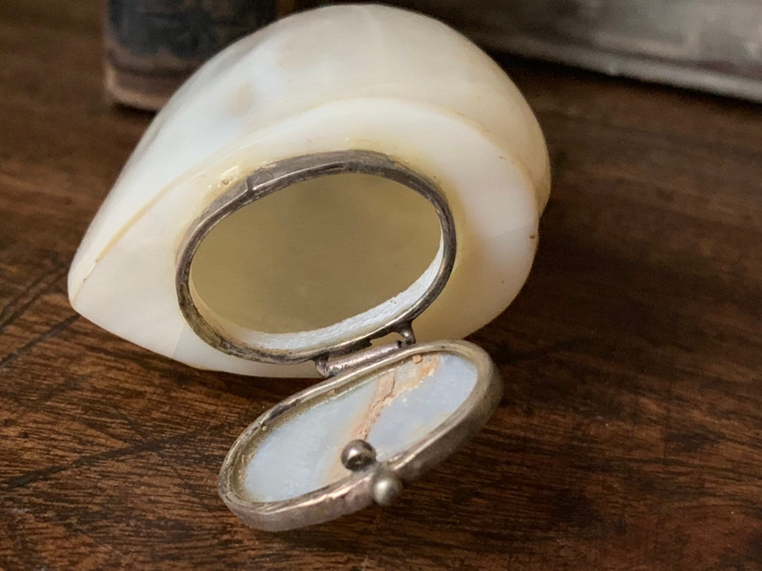 Beautiful 19th Century Mother Of Pearl Shell Snuff Box