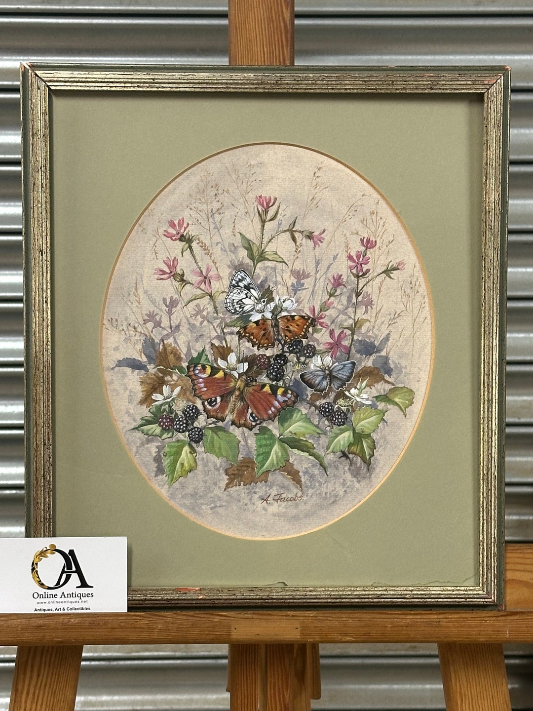 Stunning Watercolour of Butterflies and Flowers by the Artist Alexandra Jacob’s - Etsy