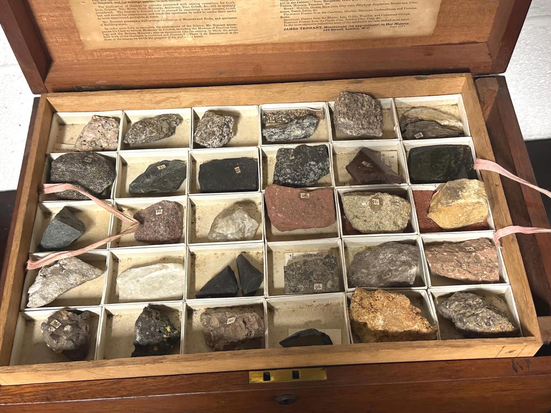 Rare 19th Century James Tennant Cabinet of Fossils & Minerals Circa ...