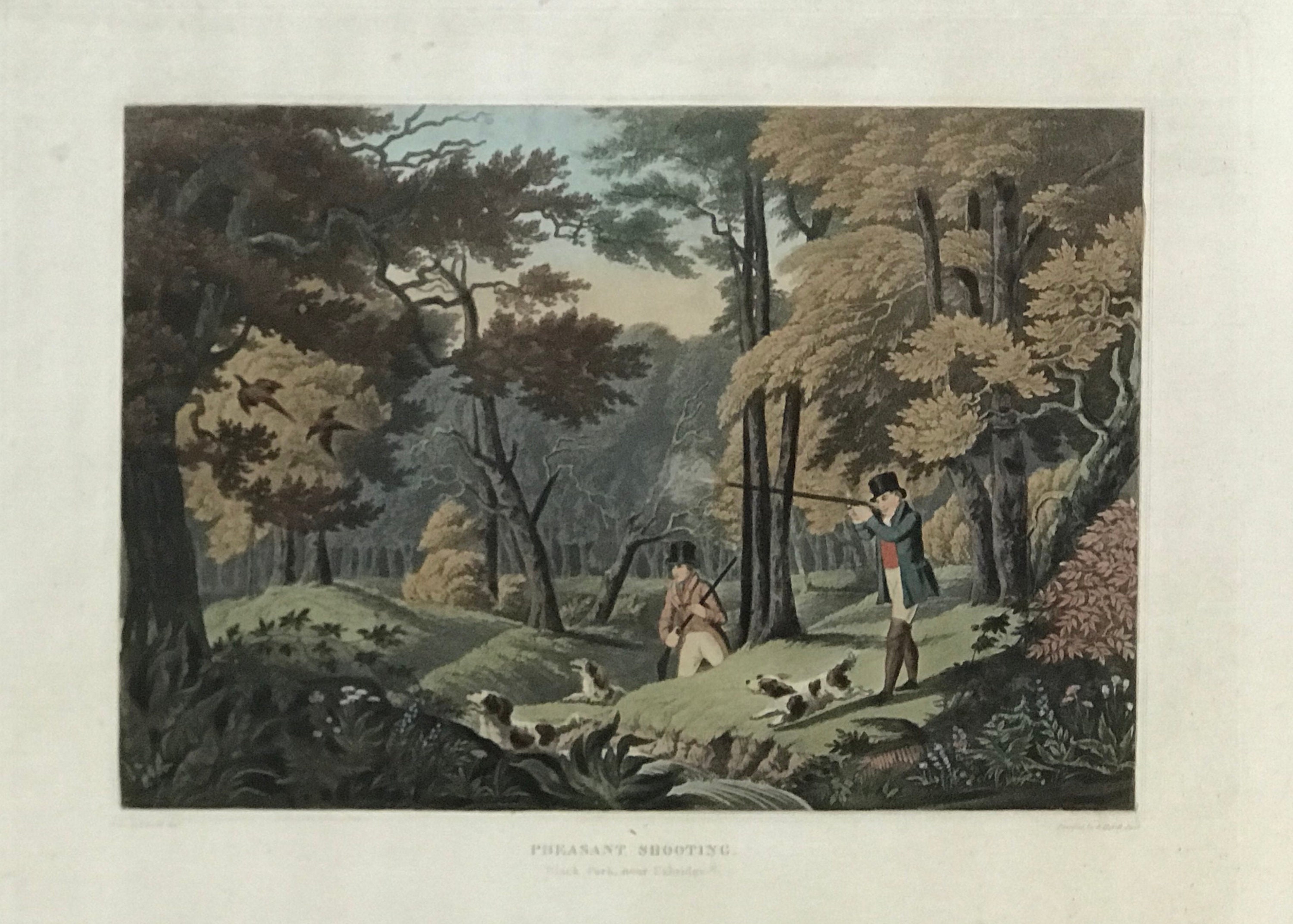 Pheasant Shooting, Black Park Near Uxbridge, Framed Hand Coloured ...