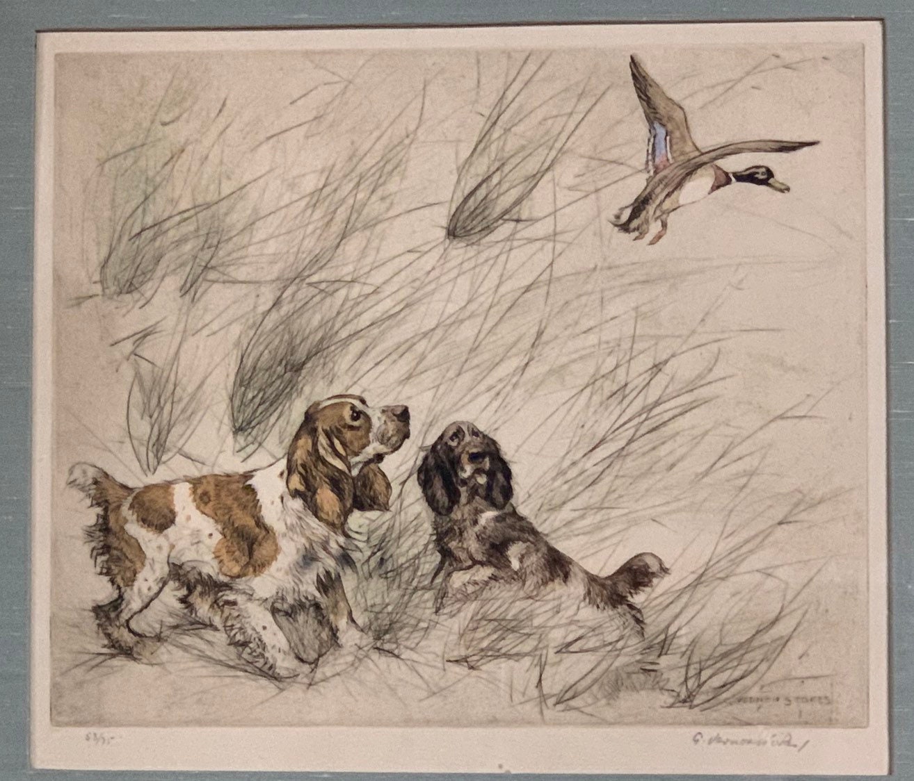 Wonderful Limited Edition Coloured Etching Of Spaniels By George Vernon ...