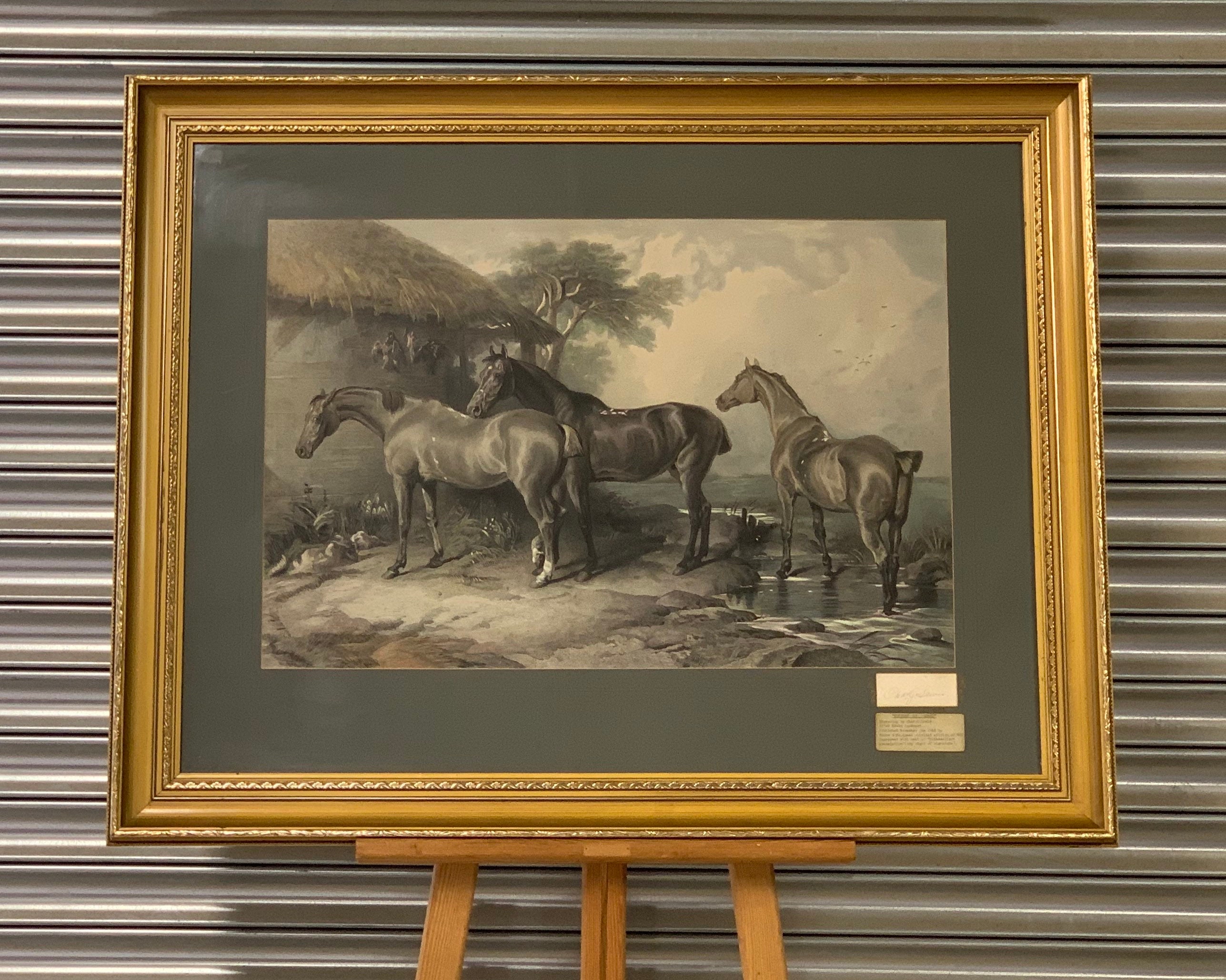 Superb Limited Edition Of 400 Engraving ‘Hunters At Grass’ After Edwin ...