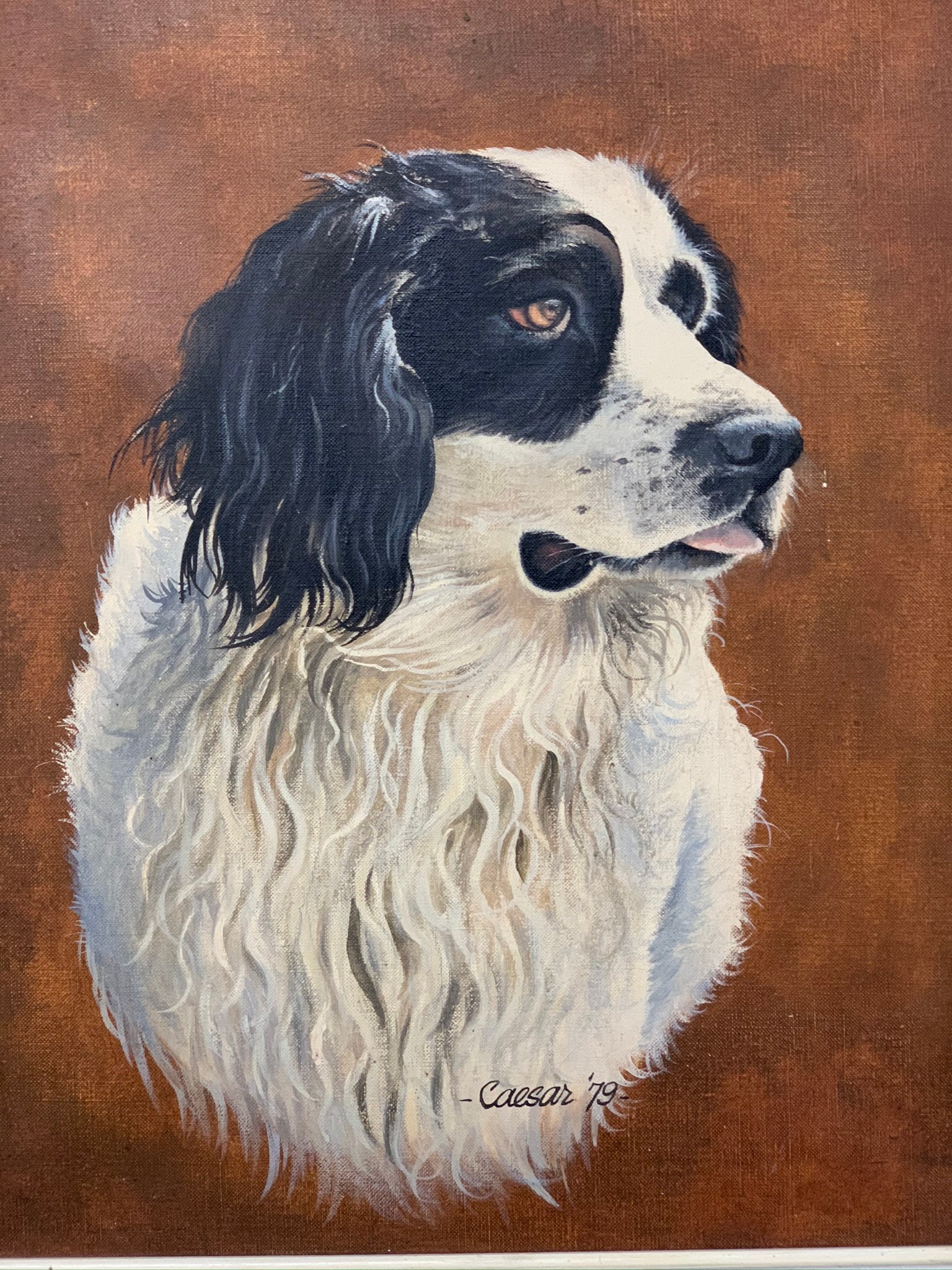 Wonderful Original Beautiful Oil Painting Of A Border Collie By John ...