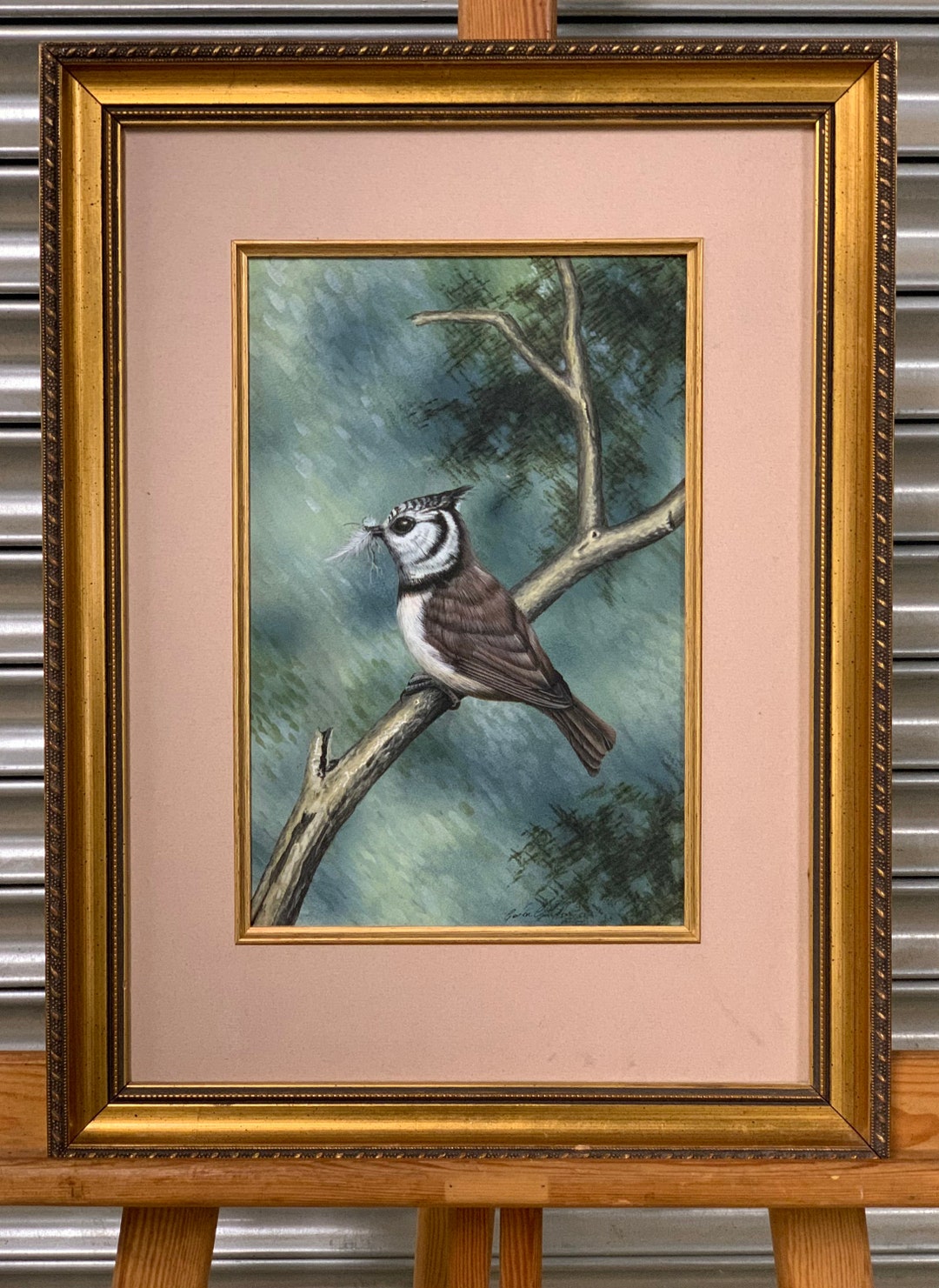 Beautiful Detailed Painting Of A Crested Tit Bird By Gordon C Turton ...