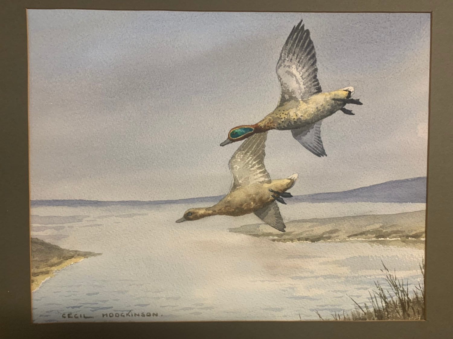 Original Cecil Thomas Hodgkinson Watercolour Of Teal Ducks in flight