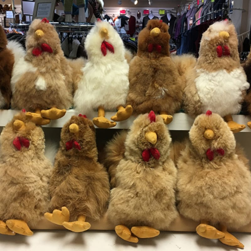 Chicken Doll Plush - Etsy