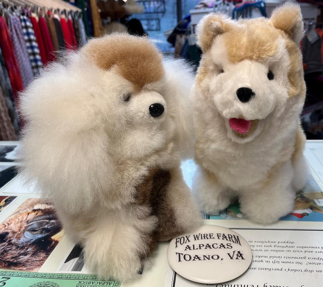 Alpaca Puppy Dogs - Etsy