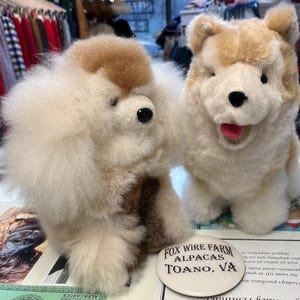 Alpaca Puppy Dogs - Etsy