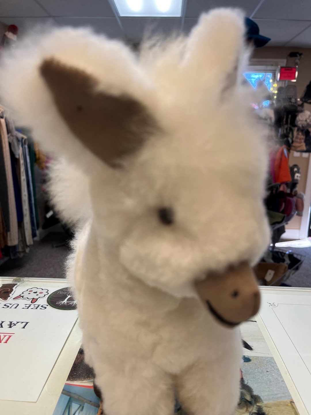 Alpaca Mini Donkeys - Etsy