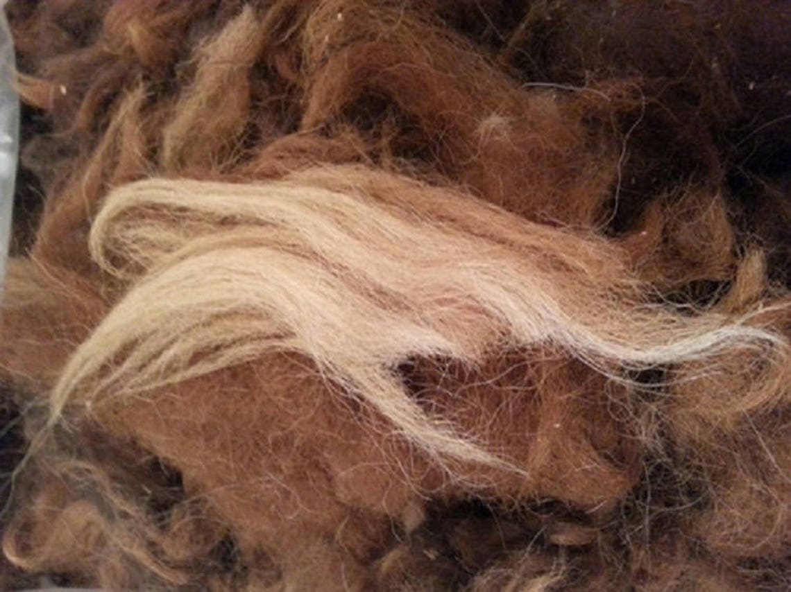 Fox Wire Farm Alpacas Bird Nesting Material | Etsy