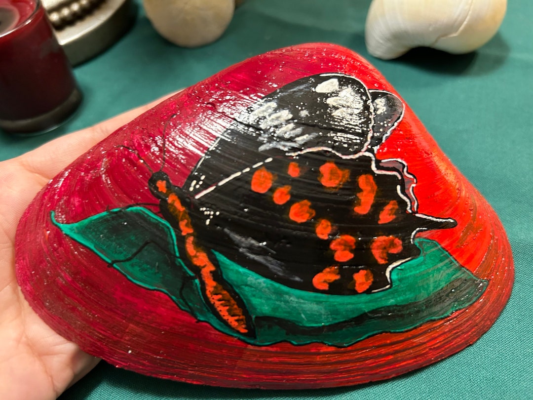 Hand-painted Swallowtail Butterfly Clam Shell - Maine Beach Decor - Etsy