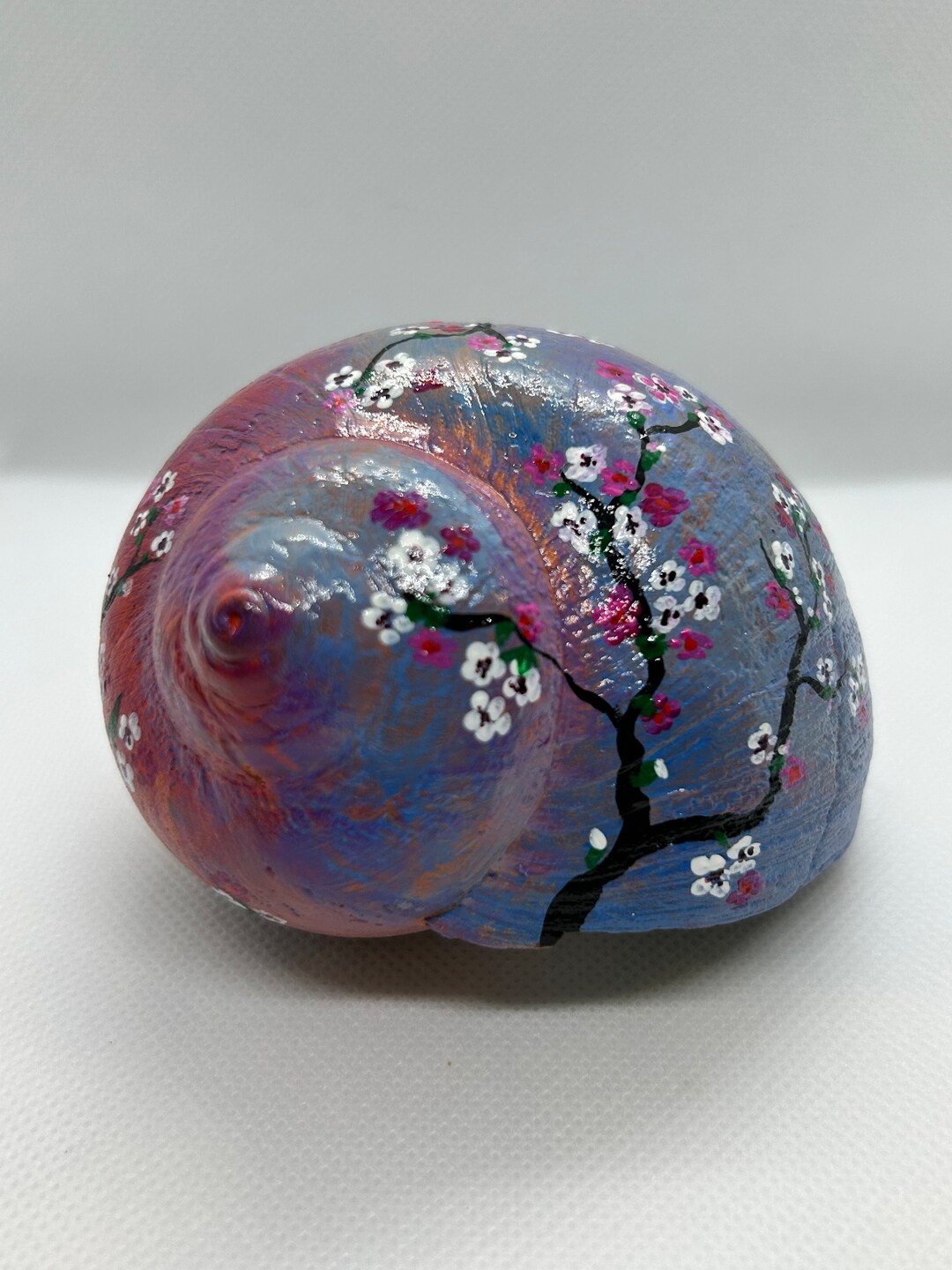 Hand Painted Large Shell Cherry Blossoms Flowers - Etsy