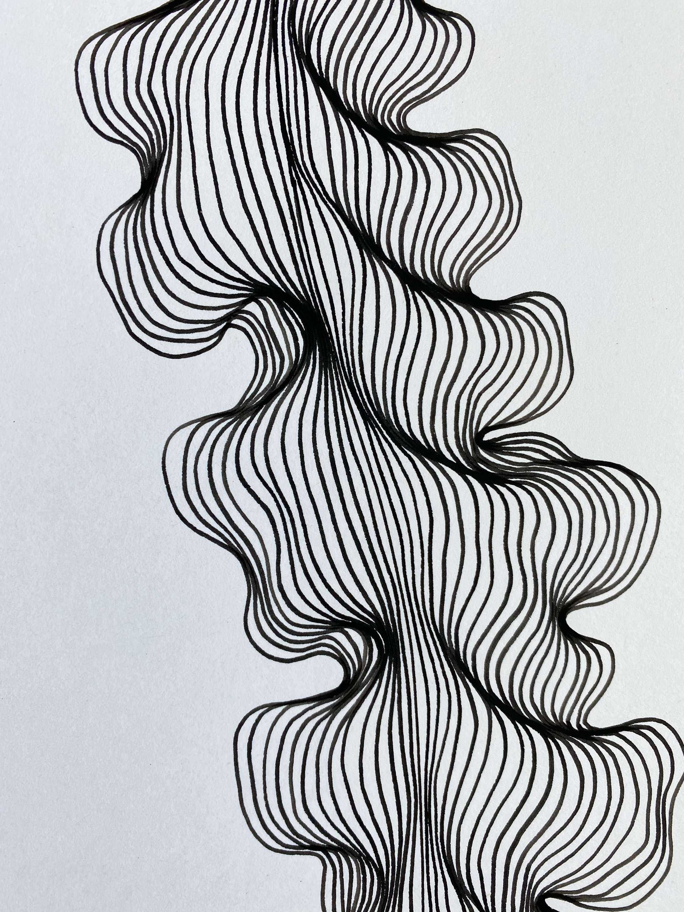 Original Line Drawing / Black and White Modern Line Art / Organic Line ...