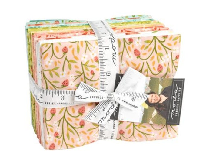 Spring Chicken Fat Quarter Bundle by Sweetwater for Moda - Etsy