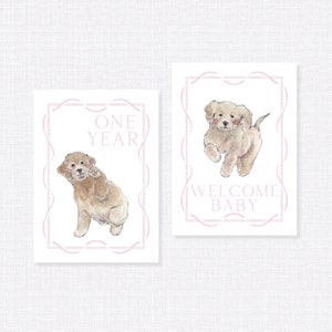 Golden Doodle Milestone Cards, First Year Cards, Monthly Milestone ...