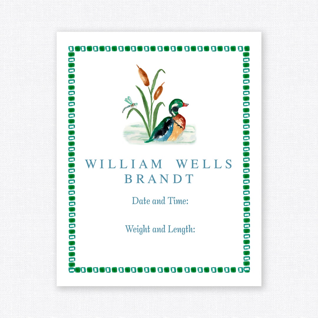 Personalized Duck Hospital Sign, Baby Boy Hospital Sign - Etsy