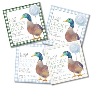 Lucky Duck Birthday Thank You Card Good Bag Tag Set - Etsy