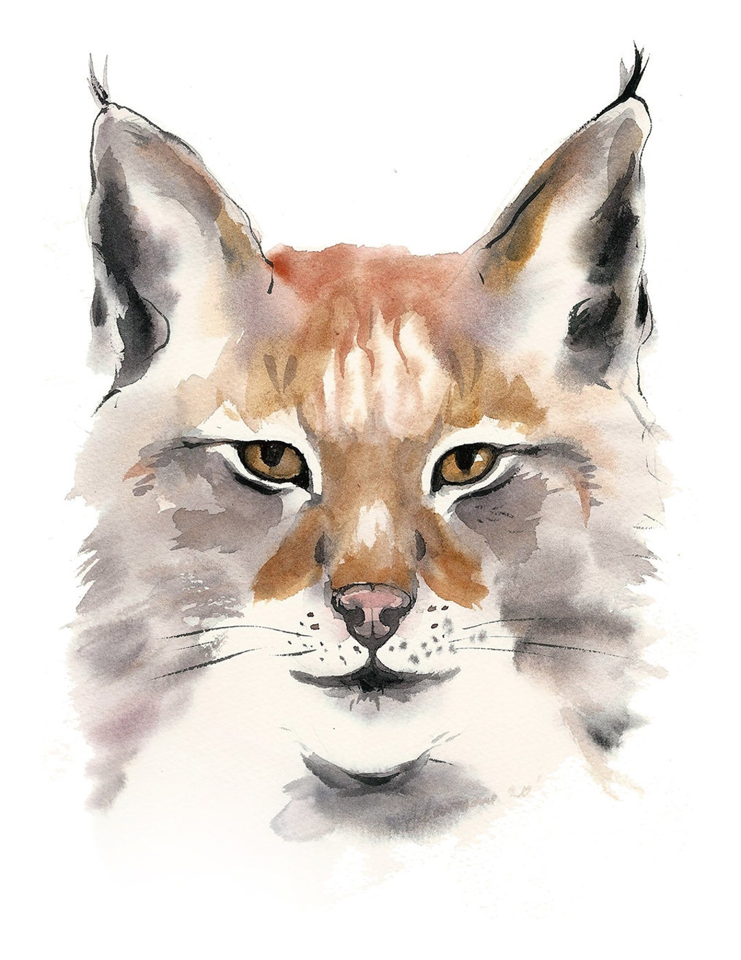 Lynx Art Original Watercolor Wildlife Painting Big Wild Cat Decor - Etsy