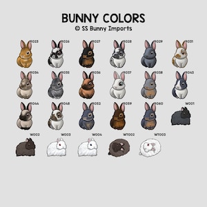 Single Bunny Print - Existing Rabbit Breed and Color - Custom Rabbit ...