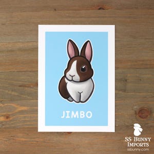 Single Bunny Print - Existing Rabbit Breed and Color - Custom Rabbit ...