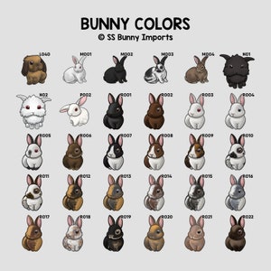Single Bunny Print - Existing Rabbit Breed and Color - Custom Rabbit ...