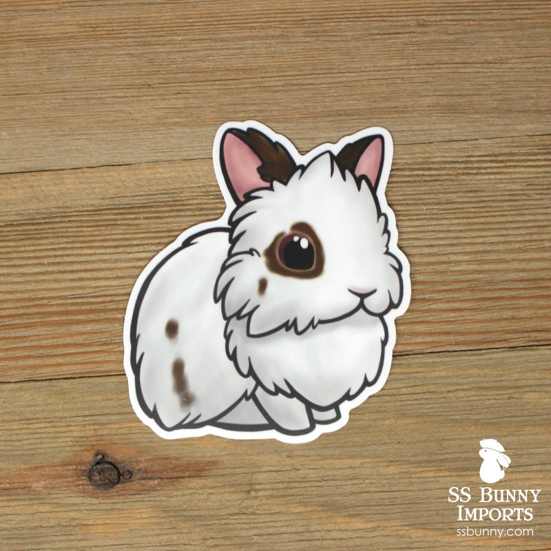 Charlie Chocolate Lionhead Rabbit Sticker Cute Brown Bunny - Etsy