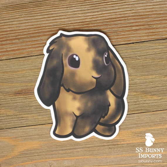 Harlequin Lop Rabbit