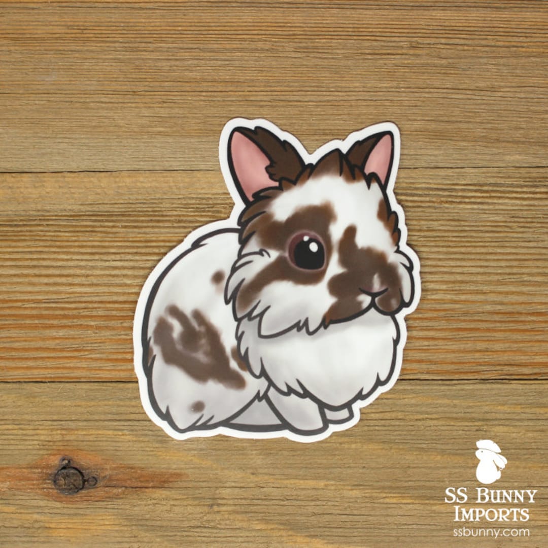 Broken Brown Lionhead Bunny Sticker; Cute Spotted Rabbit Sticker, Cute ...