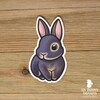 Sable point Netherland Dwarf bunny sticker cream brown rabbit vinyl ...