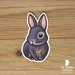 Sable point Netherland Dwarf bunny sticker cream brown rabbit vinyl ...