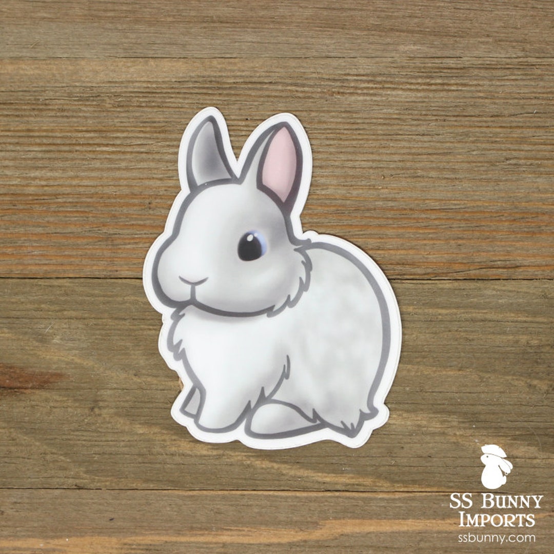 BEW Netherland Dwarf Rabbit Sticker; Cute Printed Blue-eyed White Bunny ...