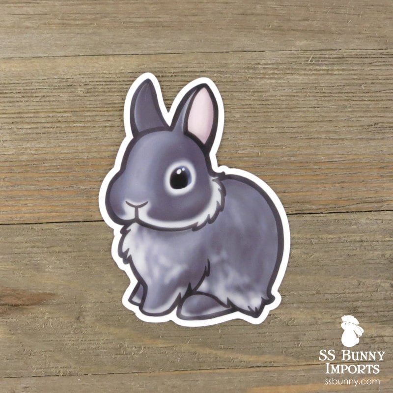 SSBunnyImports - Etsy