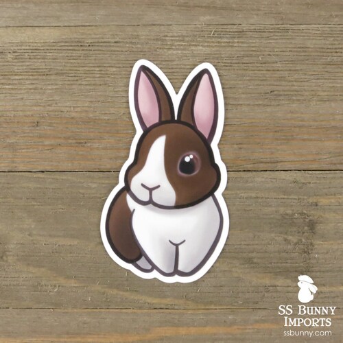 Chocolate Dutch Rabbit Sticker Cute Printed Vinyl Bunny - Etsy
