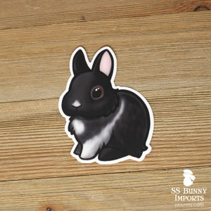 Custom Vienna-marked Netherland Dwarf Bunny Sticker; Printed Chibi ...
