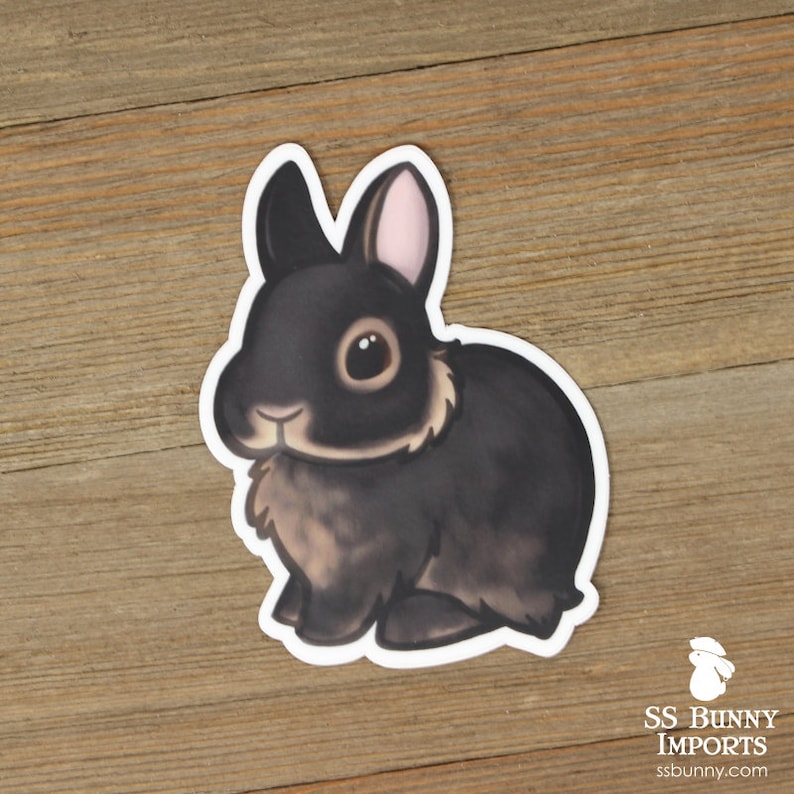 Black Tan Netherland Dwarf Bunny Sticker Printed Chibi Rabbit - Etsy