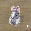 Flemish Giant Rabbit Silhouette Sticker, Vinyl Bunny Decal, Glossy ...