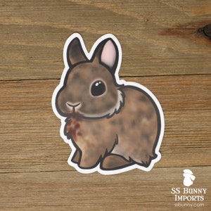 Custom 5x Dwarf Rabbit Stickers - Cute Dwarf Bunny Picture, Custom ...