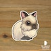 Sable Point Lionhead Rabbit Sticker; Cute Bunny Sticker, Lionhead ...