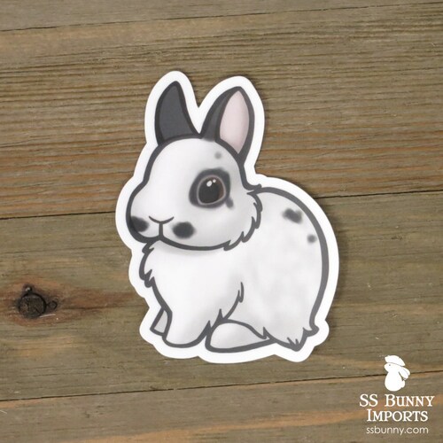 Agouti Netherland Dwarf Bunny Sticker Printed Chibi Rabbit - Etsy