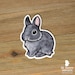 Himalayan Netherland Dwarf Rabbit Sticker Adorable Printed Bunny Vinyl ...