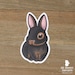 Peeking Cute Vinyl Bunny Sticker Rabbit Car Decal / Laptop Decal ...