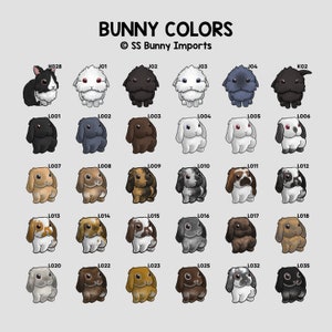Single Bunny Print - Existing Rabbit Breed and Color - Custom Rabbit ...