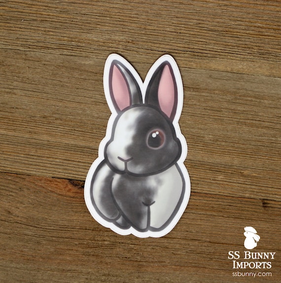 Chibi Bunny Rabbit